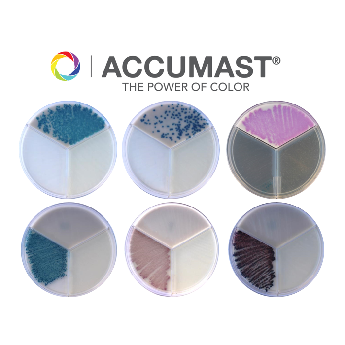 AccuMast Plates (4 Count)