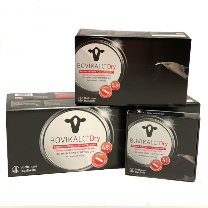 Bovikalc Dry (48 Count)