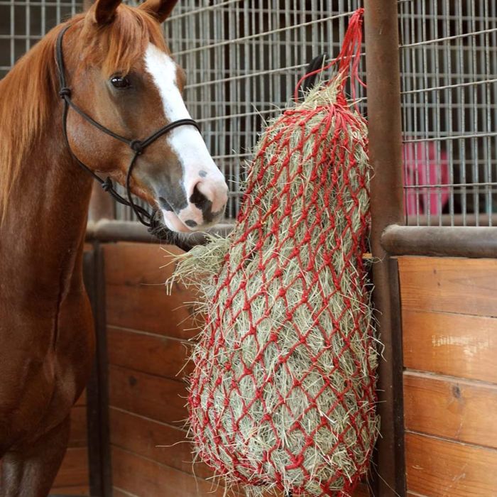 Hay Net [Red]