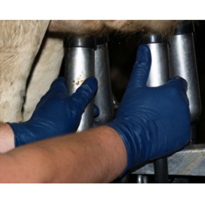 Milker's Helpers Gloves [Large] (100 Count)