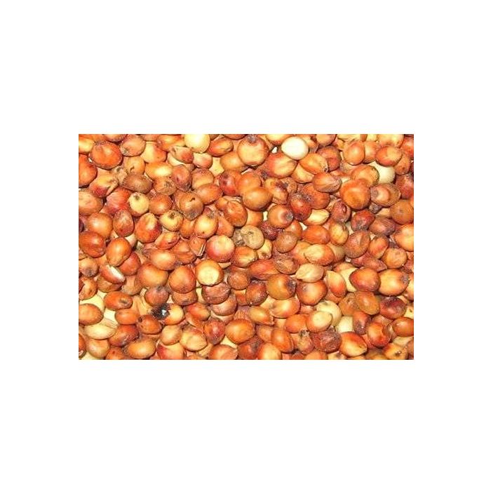 Milo Seed [50 lb]