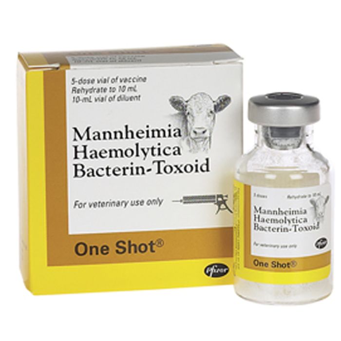 One Shot 10 mL (5 Doses)
