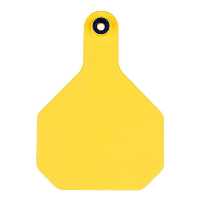 Ritchey 72440704101 Large Blank Ear Tags [Black/Yellow] (25 ct)