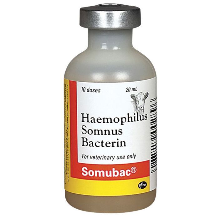 Somubac Injectable [20ml] (10 dose)