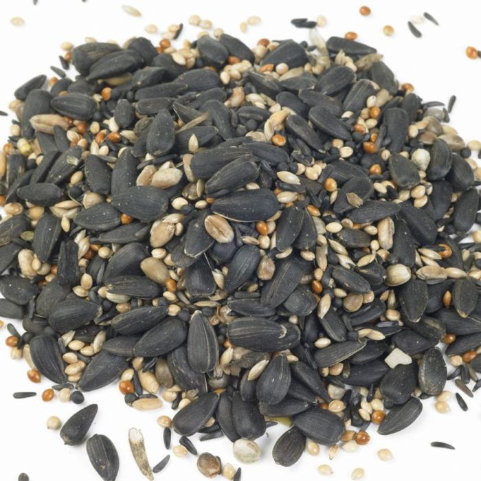 United Seed 916927 Finch Mix Birdseed [50 Ib]