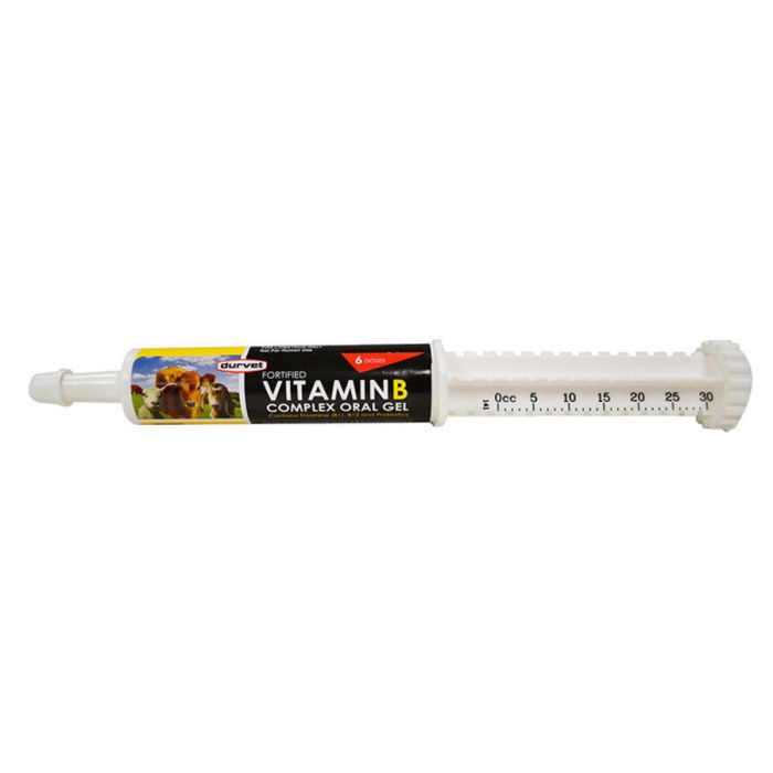 Vitamin B Complex Oral Gel [30 mL]