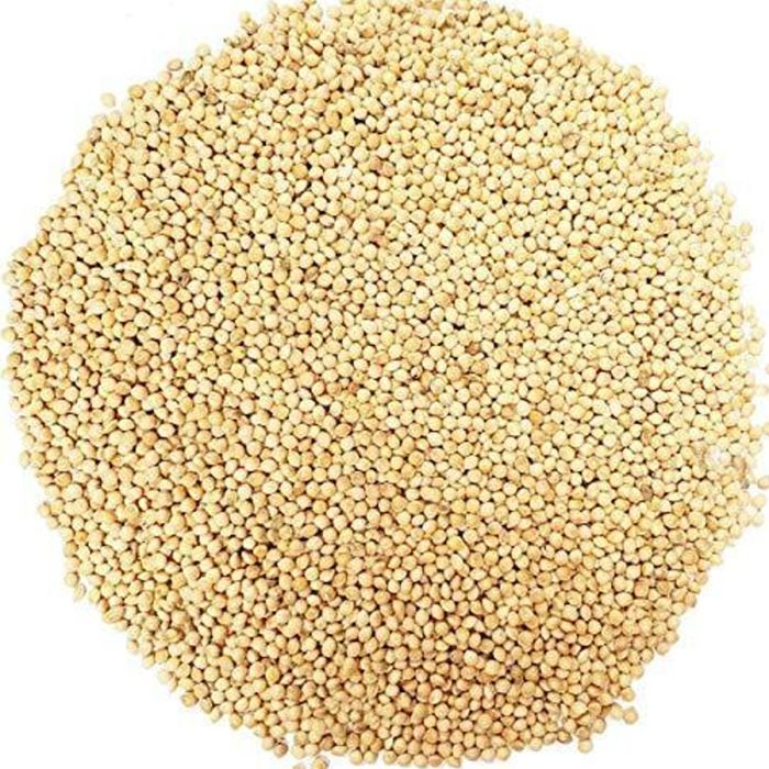 White Millet Bird Seed [50 lb]