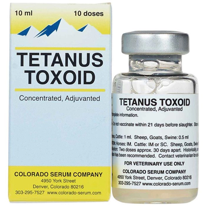 tetanus tb
